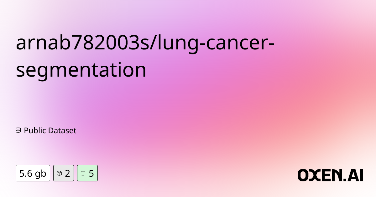 Arnab782003s Lung Cancer Segmentation Datasets At Oxen Ai